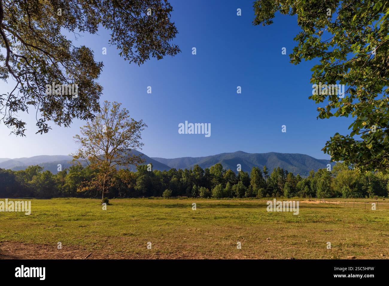 Summer landscape views at Cades Cover in the Smoky Mountain National ...