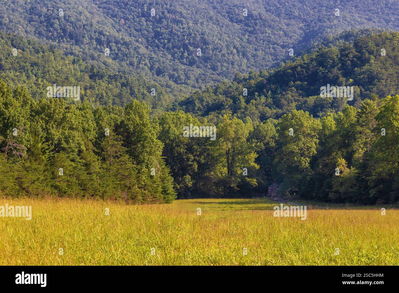 Summer landscape views at Cades Cover in the Smoky Mountain National ...