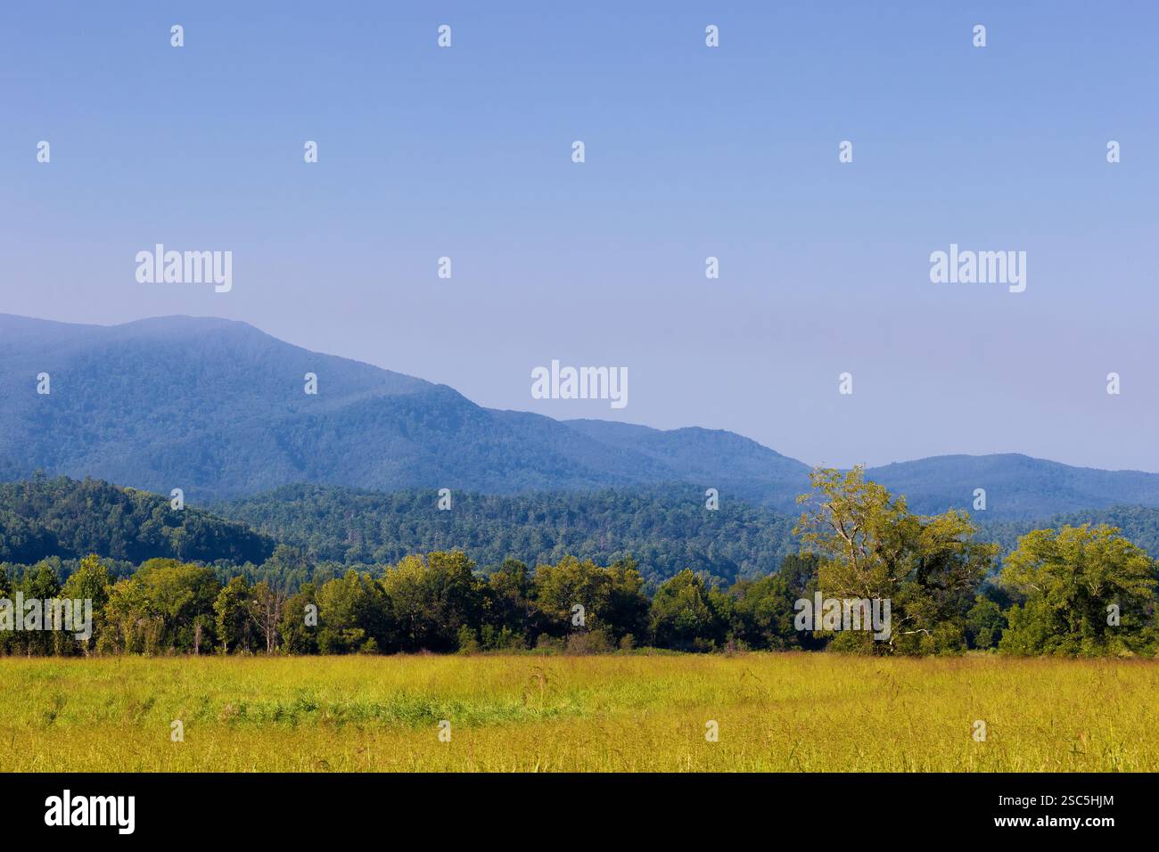 Summer landscape views at Cades Cover in the Smoky Mountain National ...