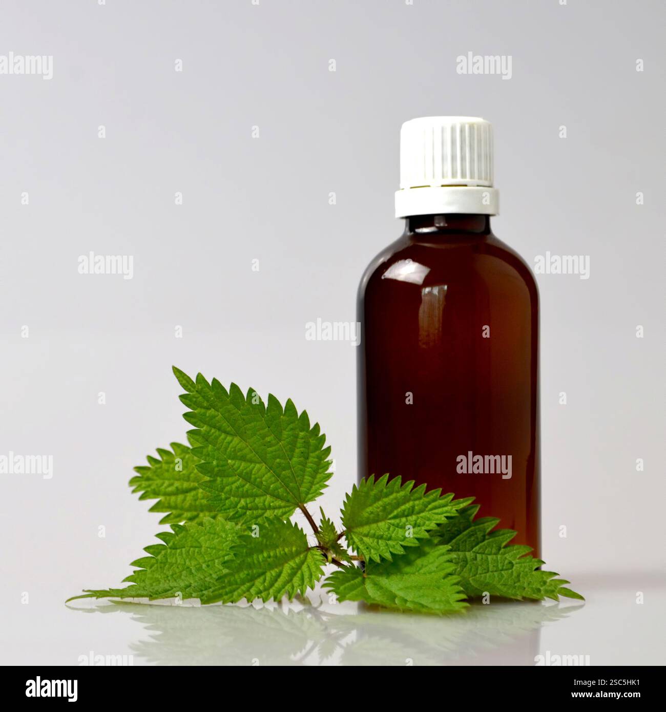 Stinging nettle essential oil Stock Photo - Alamy