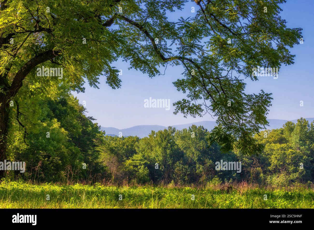 Summer landscape views at Cades Cover in the Smoky Mountain National ...
