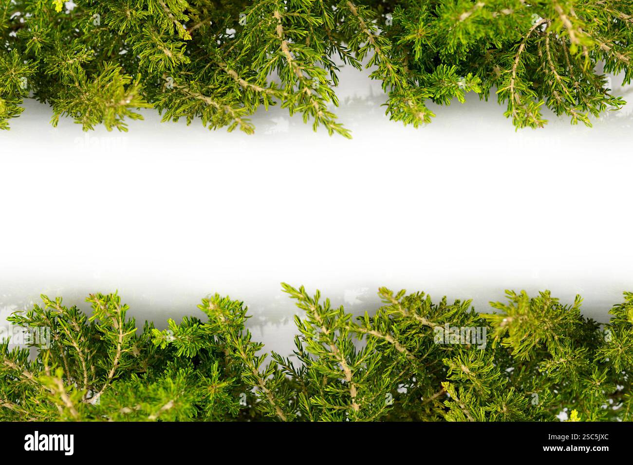 Natural Christmas background Stock Photo - Alamy