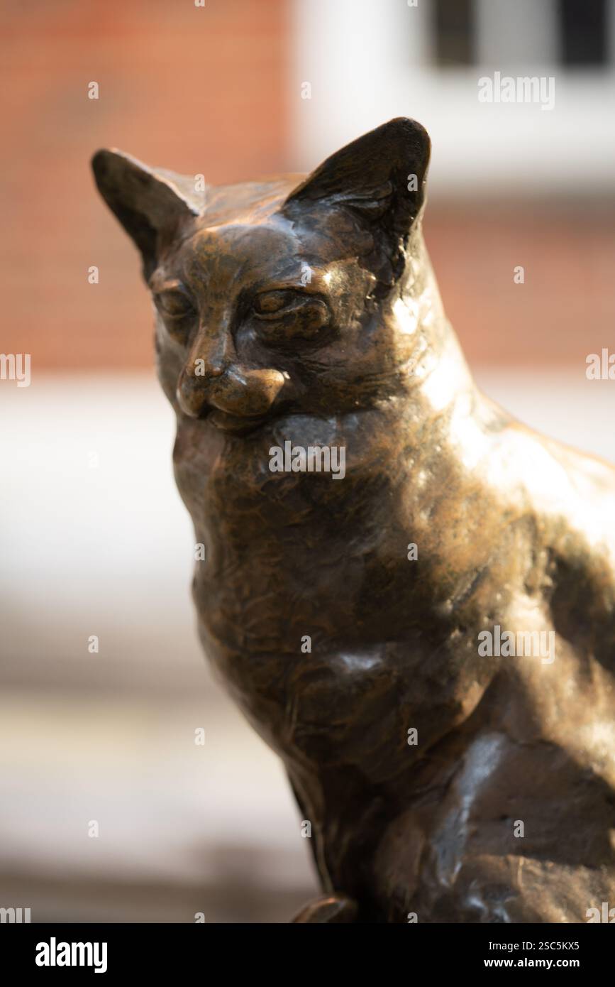 Bronze statue of a cat, at the Cat's Cradle, in the historic district ...