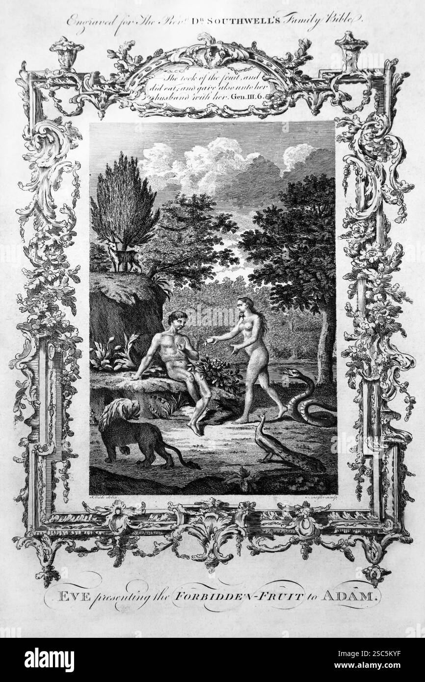 Copper-Plate Engraving of Eve Presenting the Forbidden Fruit to Adam ...