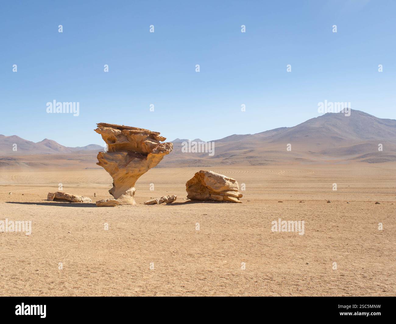 stone tree natural monument at Eduardo Avaroa Andean Fauna National ...