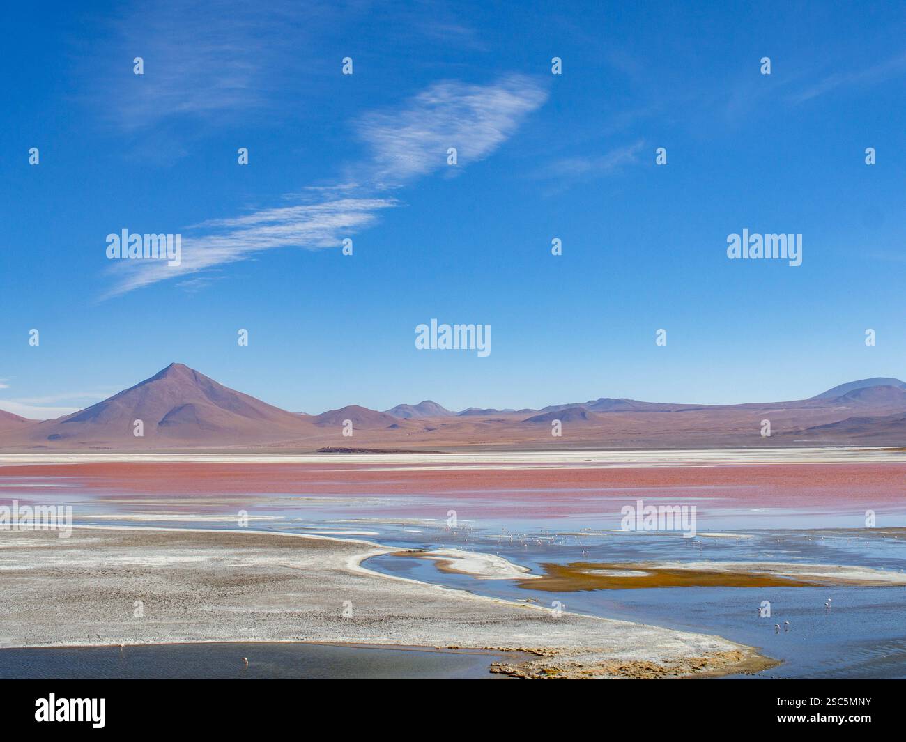 Wide view of Pukaqucha the red Lagoon in Eduardo Avaroa Andean Fauna ...