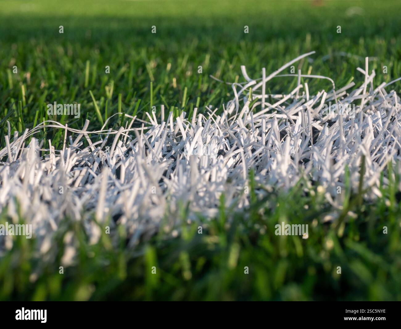 A white line on a green field. The line is made of white grass. The ...