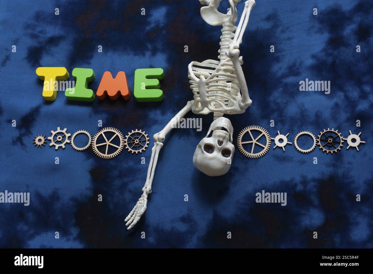 Time wording, cogwheels and artificial skeleton as time concept Stock ...