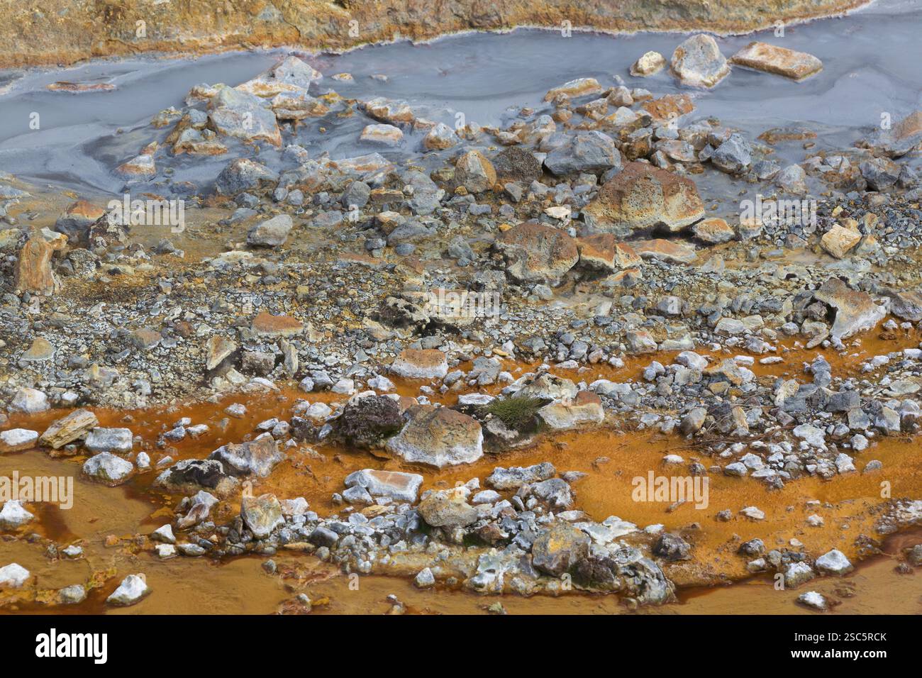 Solfatara field with hot pools and boiling mud at Seltun, Reykjanes ...