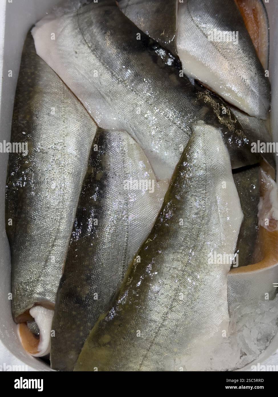 Fillets of Arctic char (Salvelinus alpunus) on ice in refrigerated ...