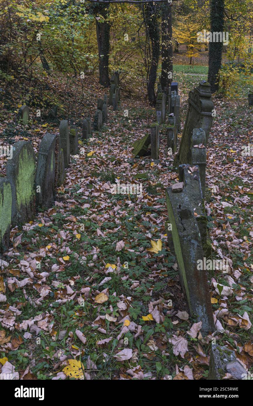Moss covered tombstones on the old jewish cemetery in Chodova Plana ...