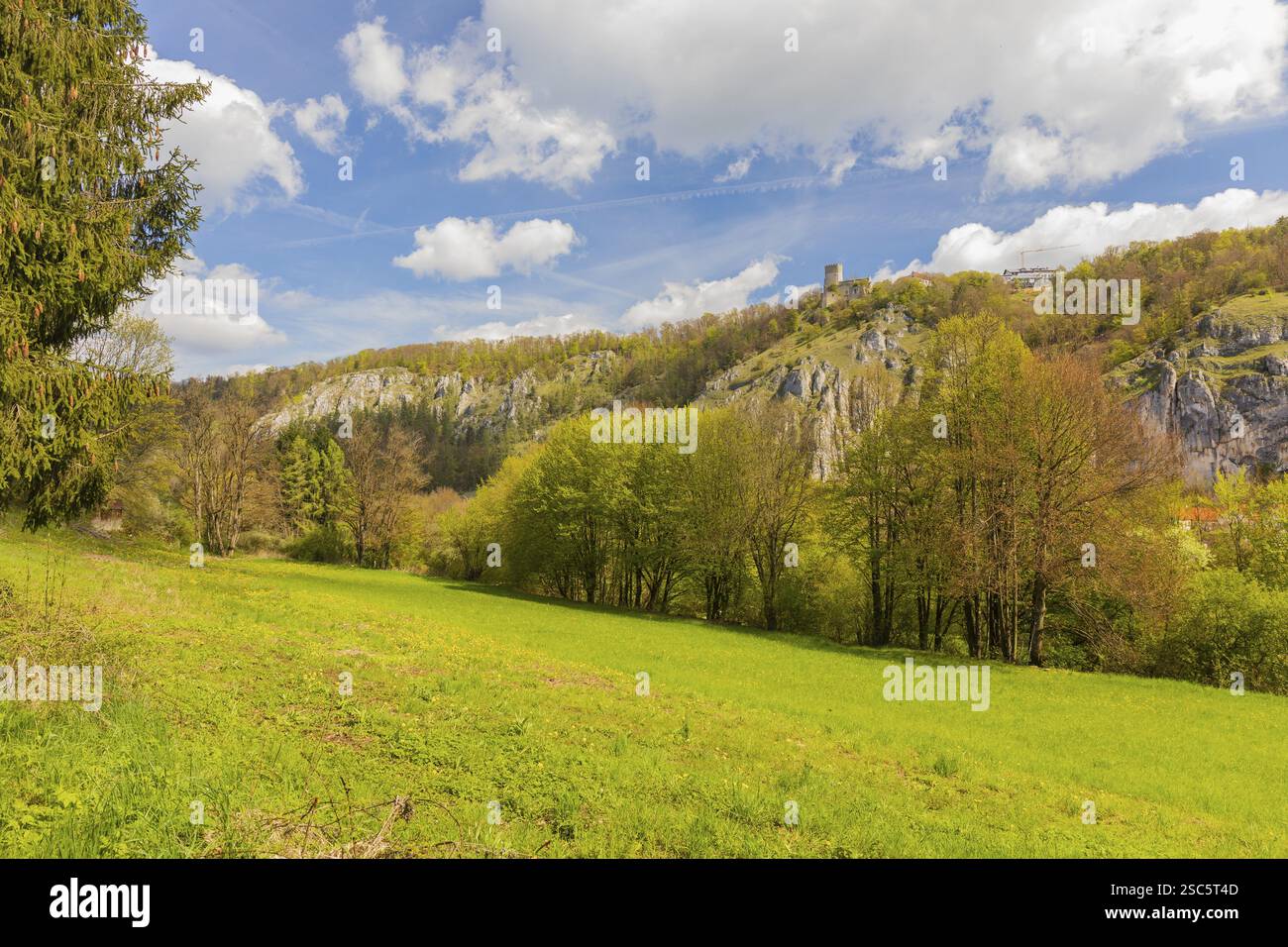 Randeck Castle is the ruin of a hilltop castle at 490 m above sea level ...