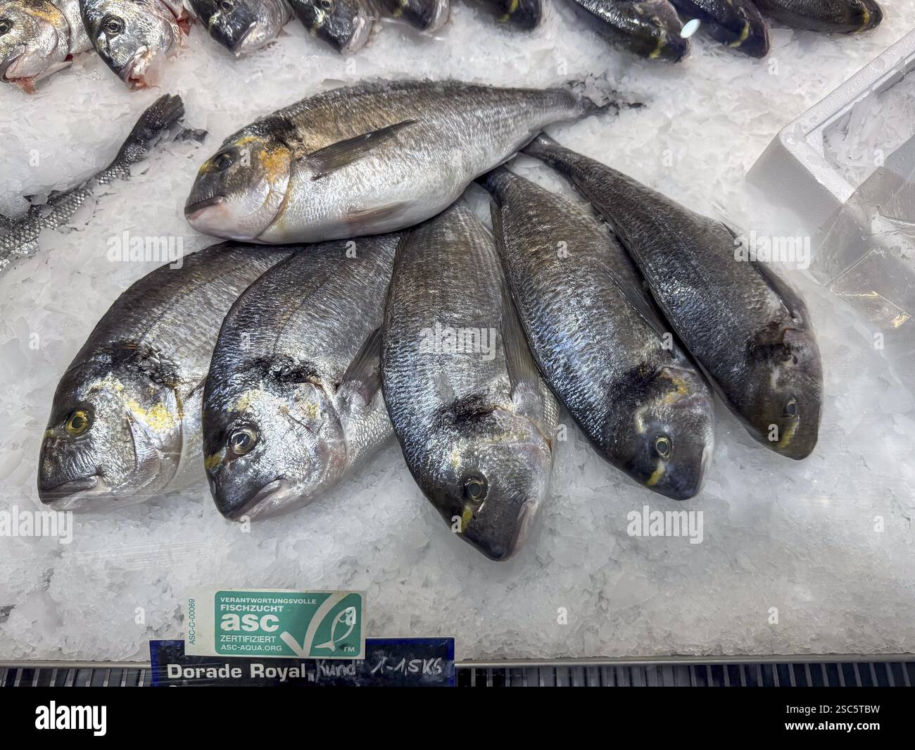 Asc aqua hi-res stock photography and images - Alamy