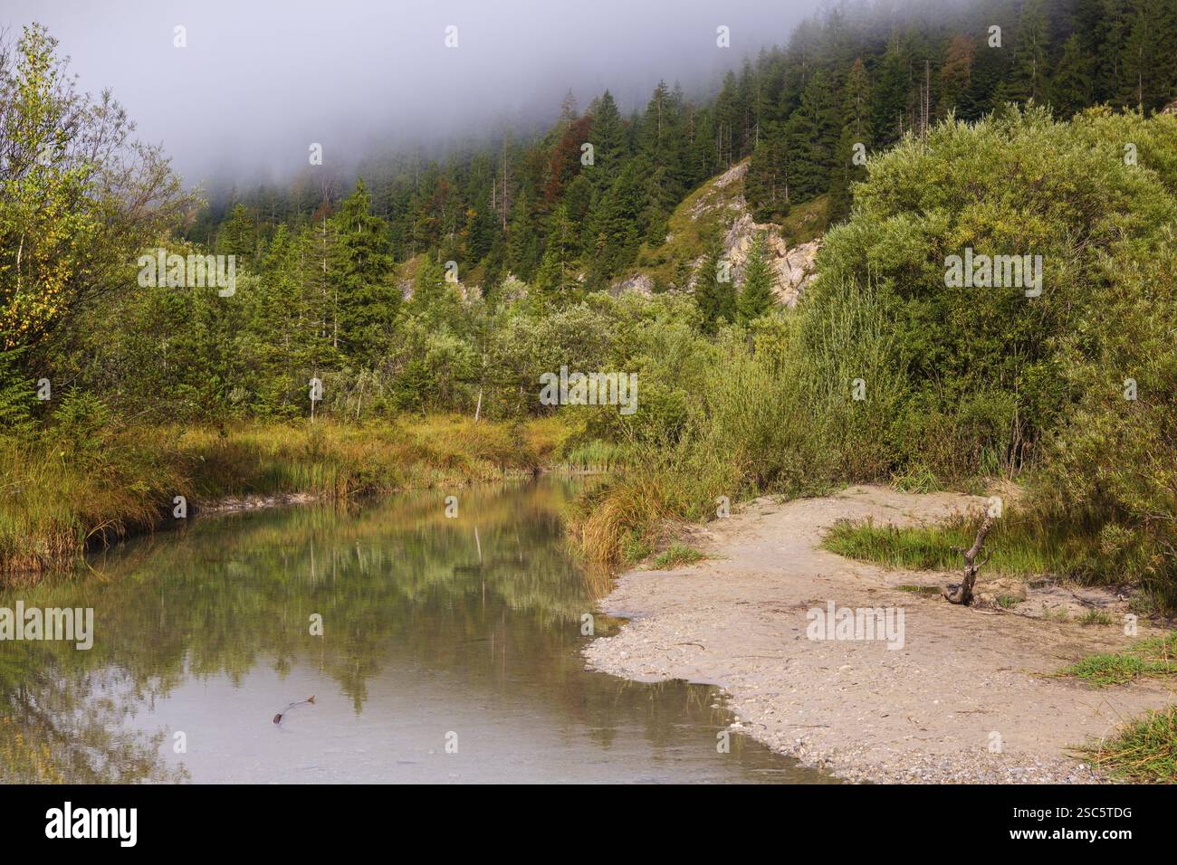 Isar valley nature conservancy area. The wild Isar river flows through ...