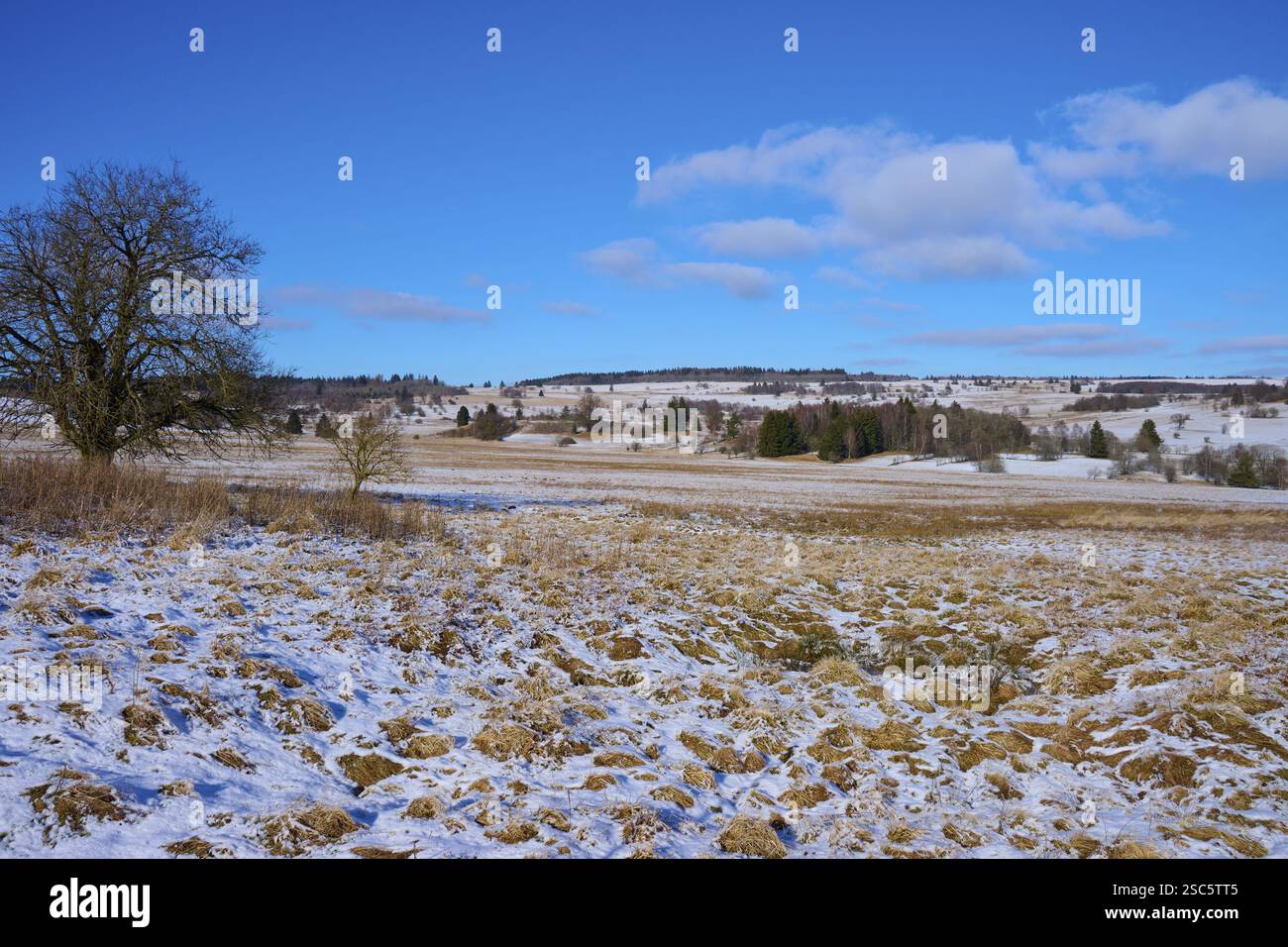 Snowy landscape with a single tree, blue sky with clouds, a quiet ...