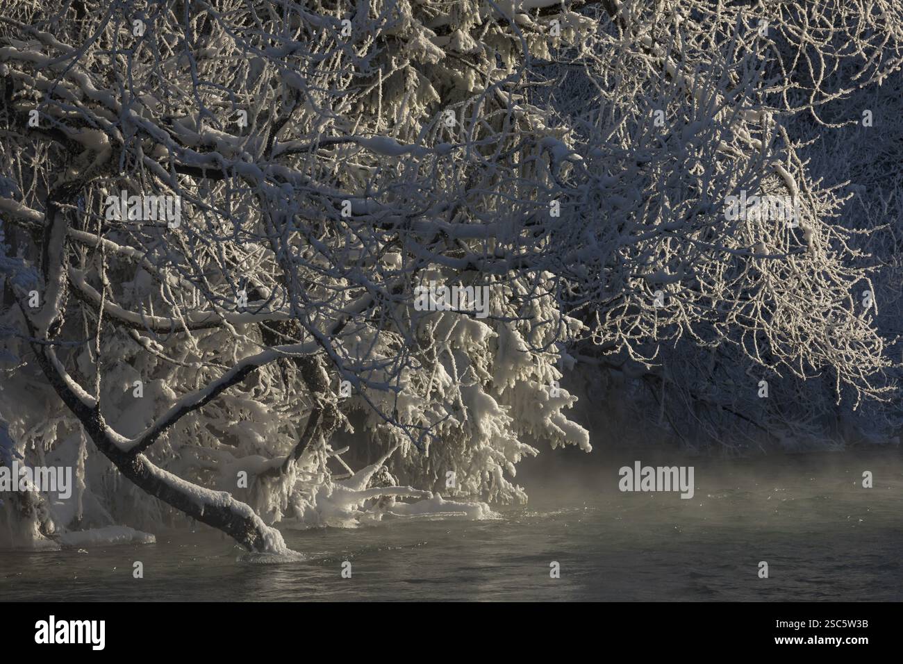 Isar valley in winter at temperatures of minus 18 degrees Celsius. Snow ...