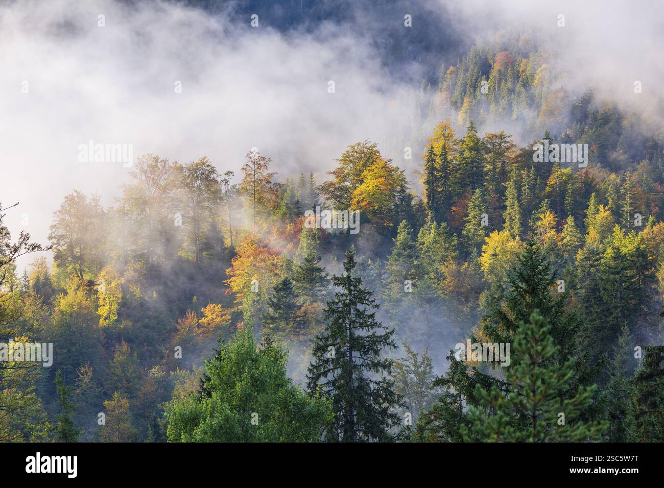 Isar valley nature conservancy area. The wild Isar river flows through ...