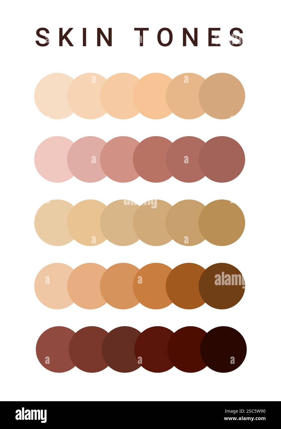 Skin tone chart hi-res stock photography and images - Alamy