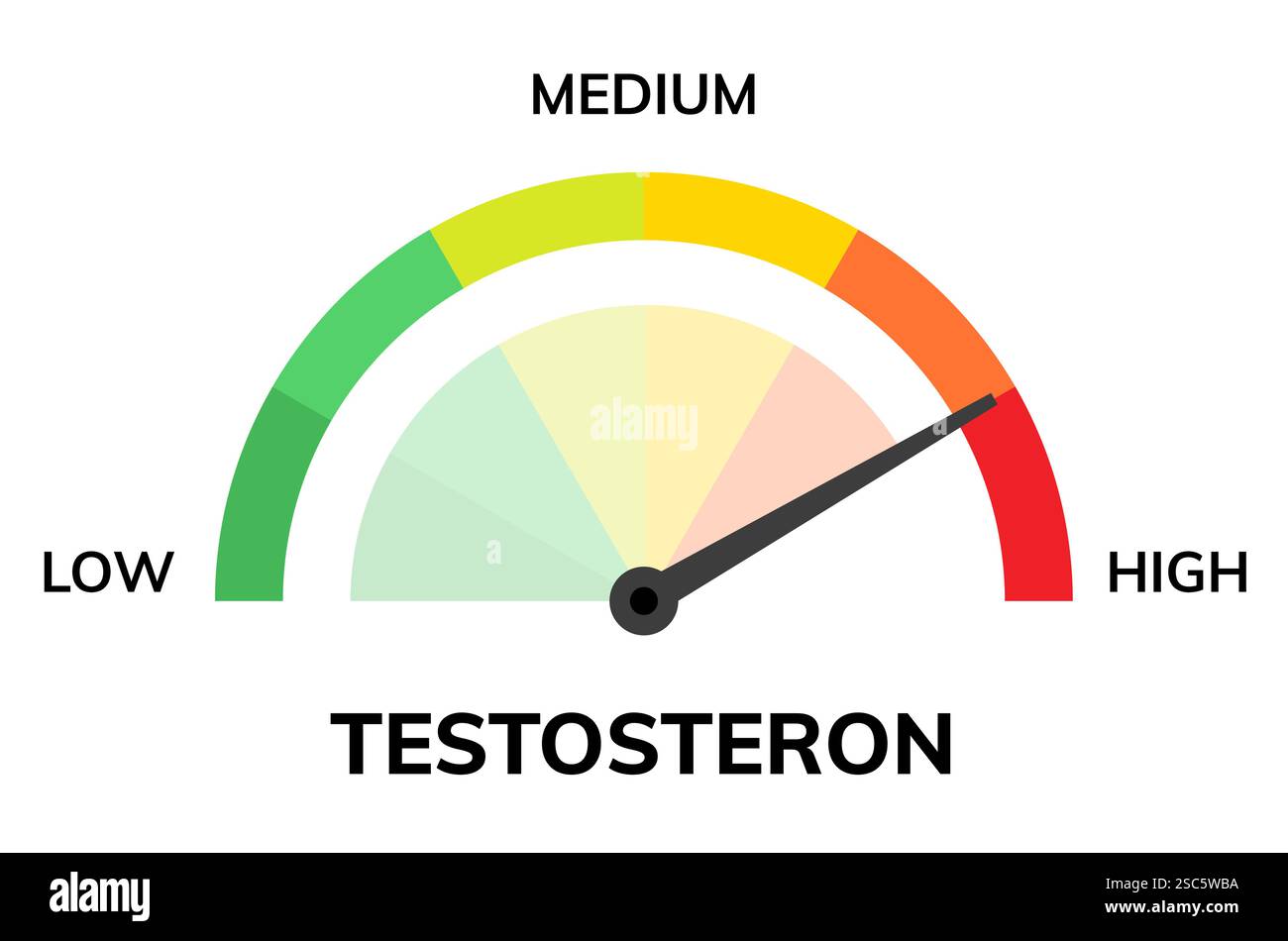 Testosterone level Stock Vector Images - Alamy