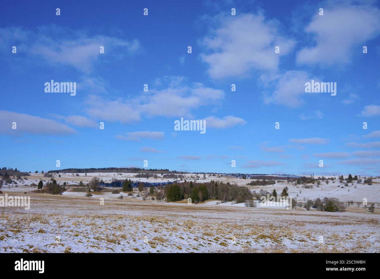 Vast snowy landscape with trees and a clear blue sky, winter ...