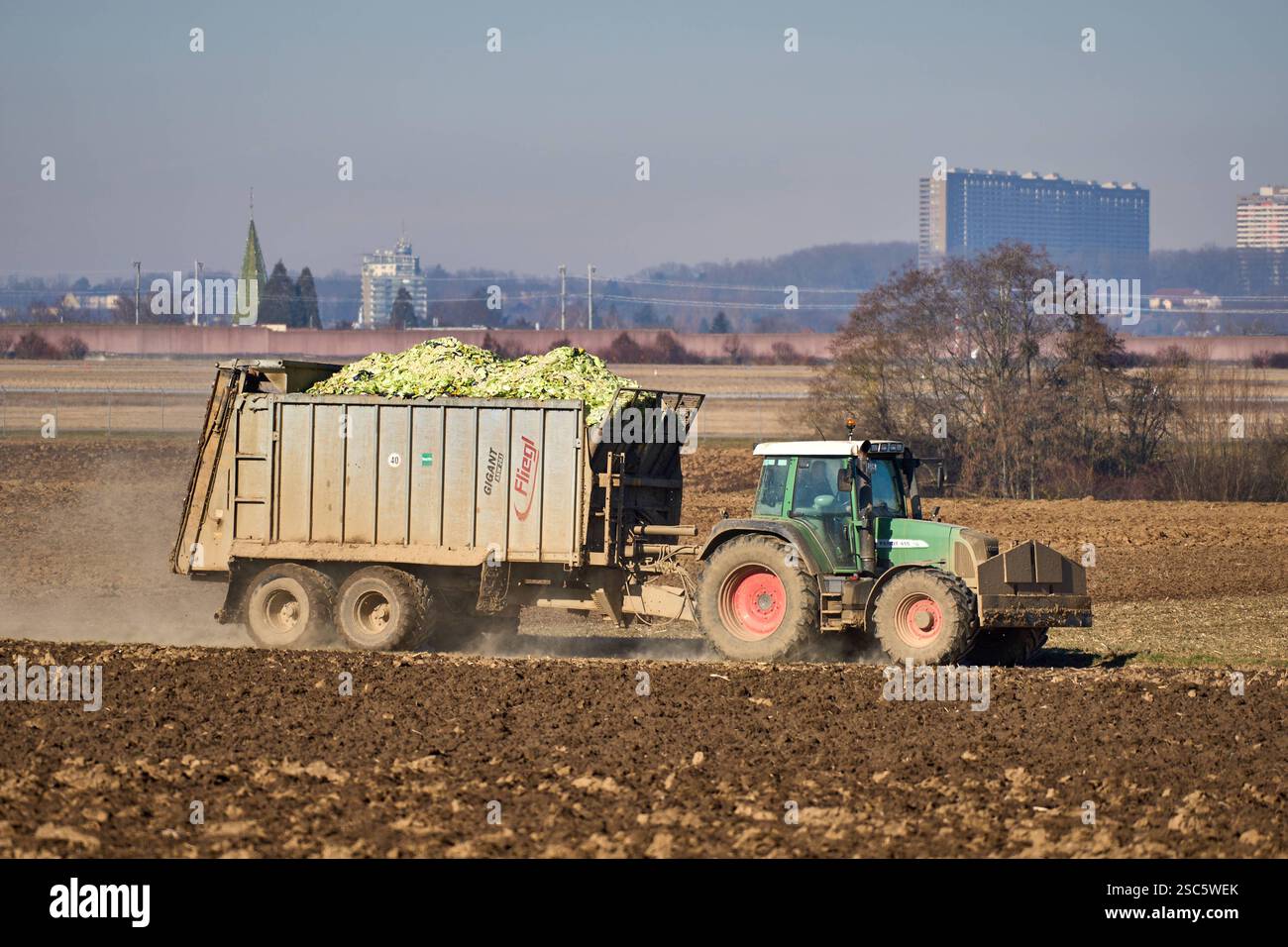 Stuttgart, Baden-Württemberg, Germany - February 5, 2025: A farmer with ...