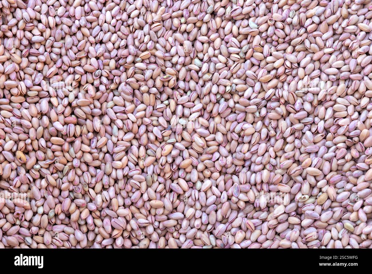 Roasted pistachio nuts in shells. Natural food peanuts stacked background Stock Photo - Alamy