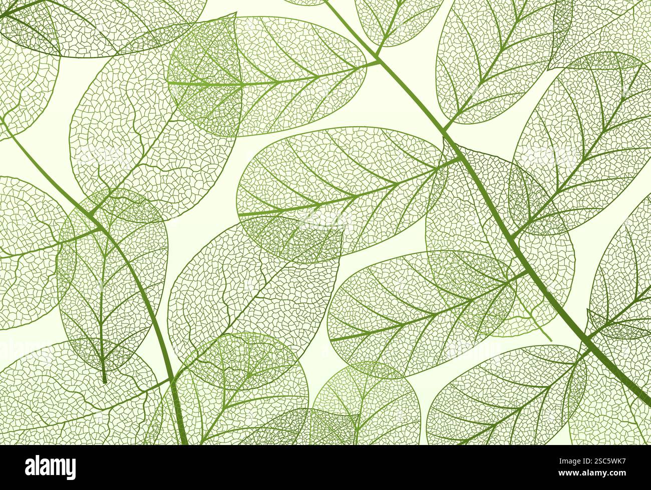 Leaf vein vector texture isolated transparent autumn black detail ...
