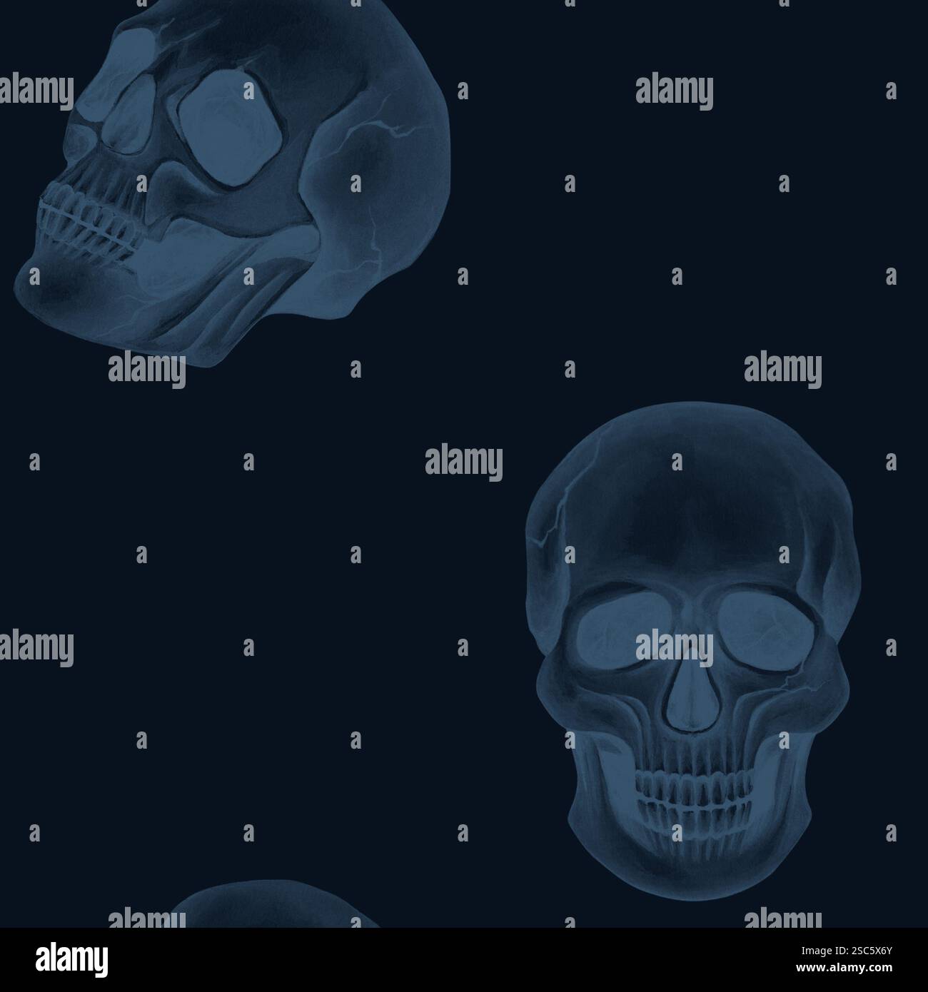 X-ray skulls front and side. Seamless pattern. Illustration on dark ...