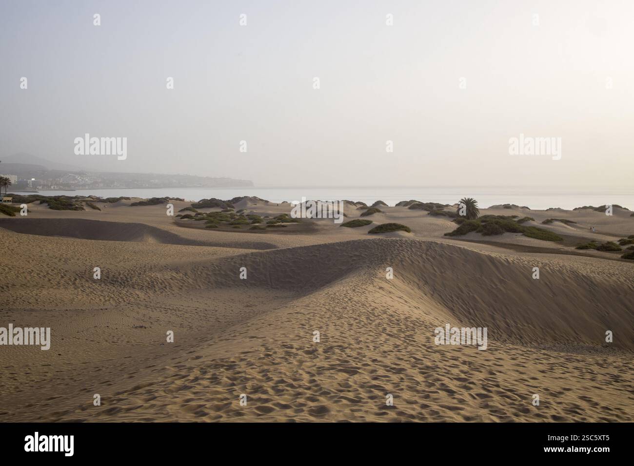 Vast sand dunes landscape with a small figure highlighting the scale ...