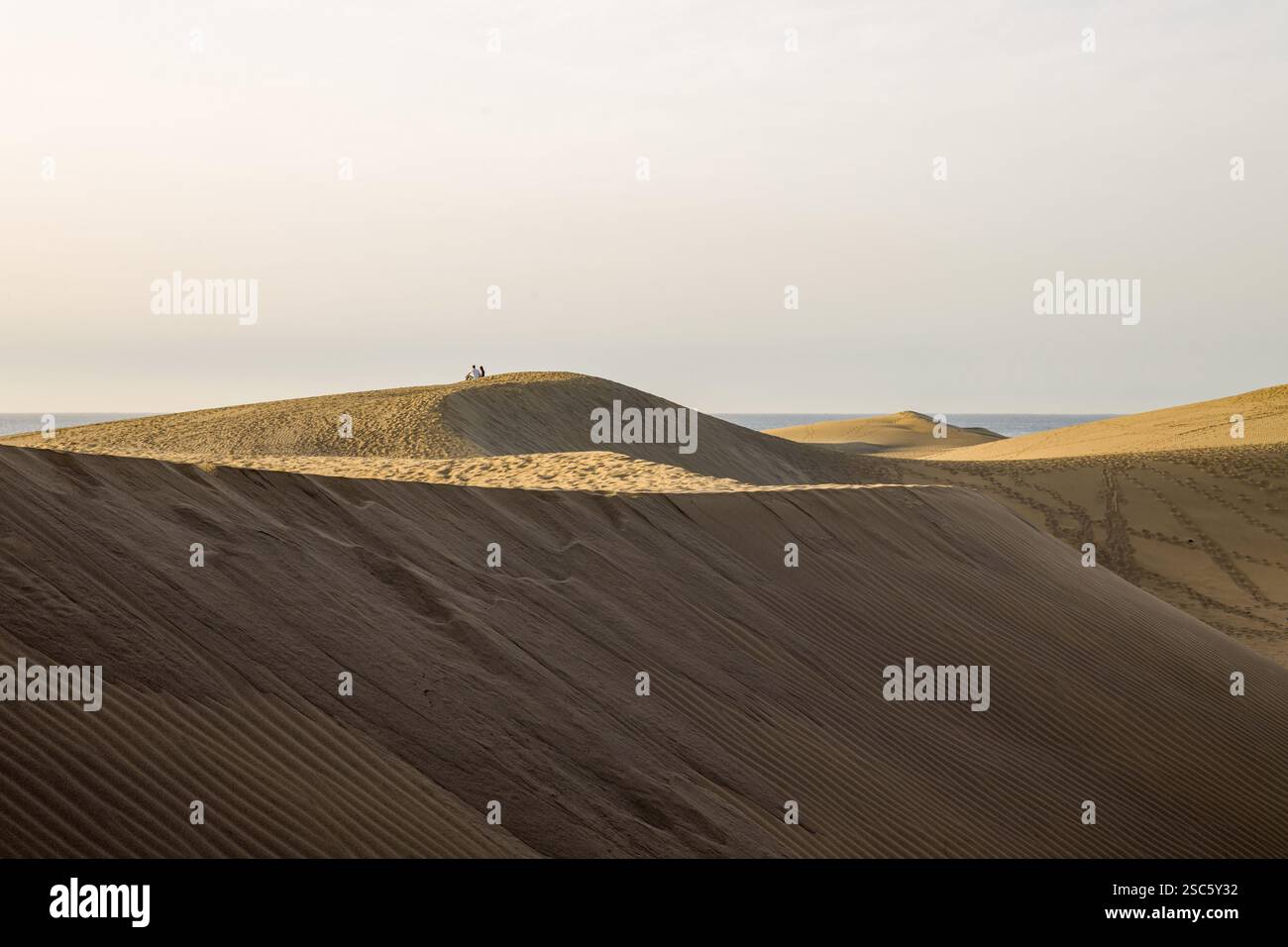 Vast sand dunes landscape with a small figure highlighting the scale ...