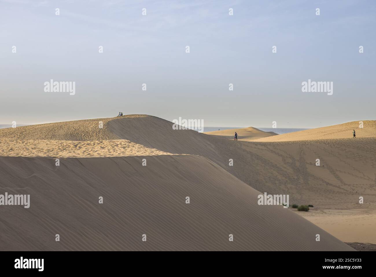 Vast sand dunes landscape with a small figure highlighting the scale ...