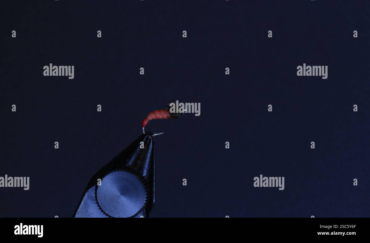 Macro shot of a handmade chironomid fly. Curved red segmented body ...