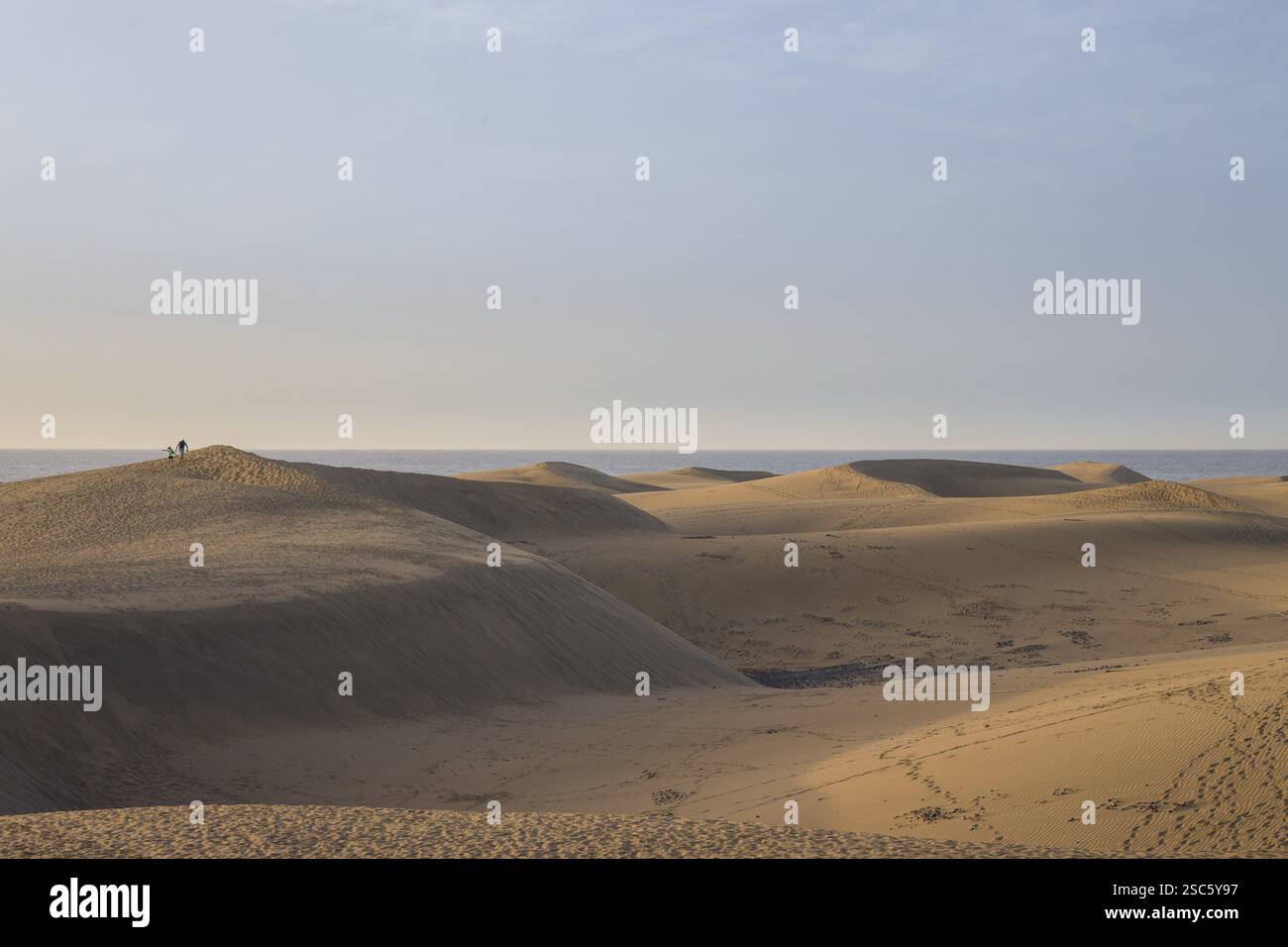 Vast sand dunes landscape with a small figure highlighting the scale ...