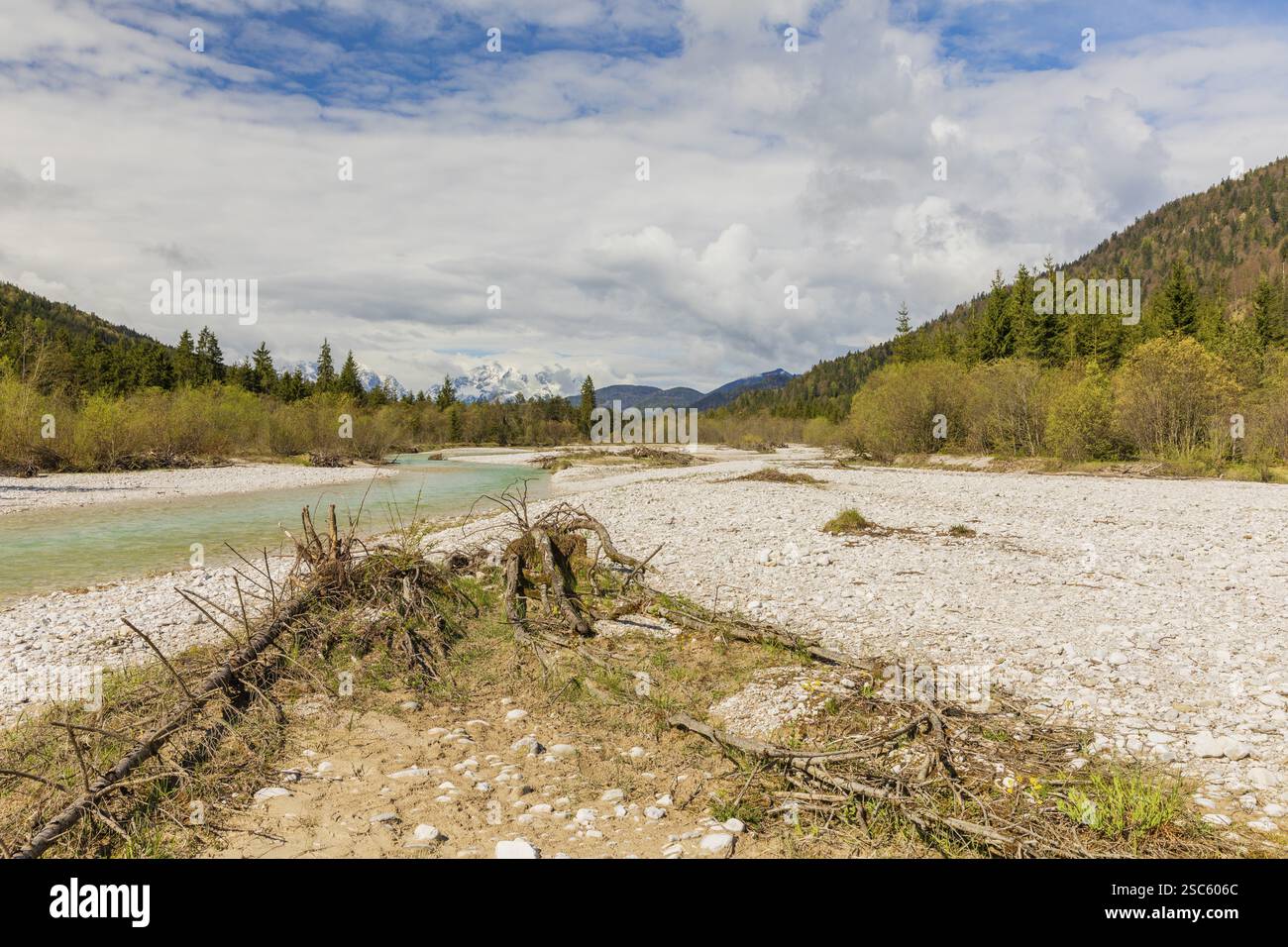 Isar valley nature conservancy area. The wild Isar river flows through ...