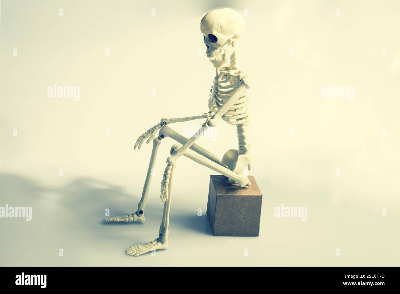 Artificial human skeleton sitting with a box on his skull Stock Photo ...