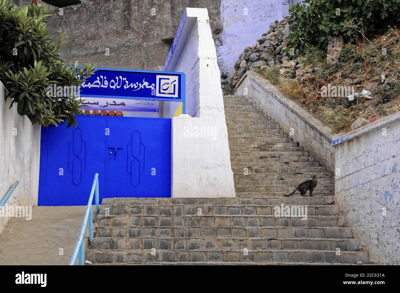 Chefchaouen, Rif Mountains, Morocco, Stone staircase with cat and blue ...