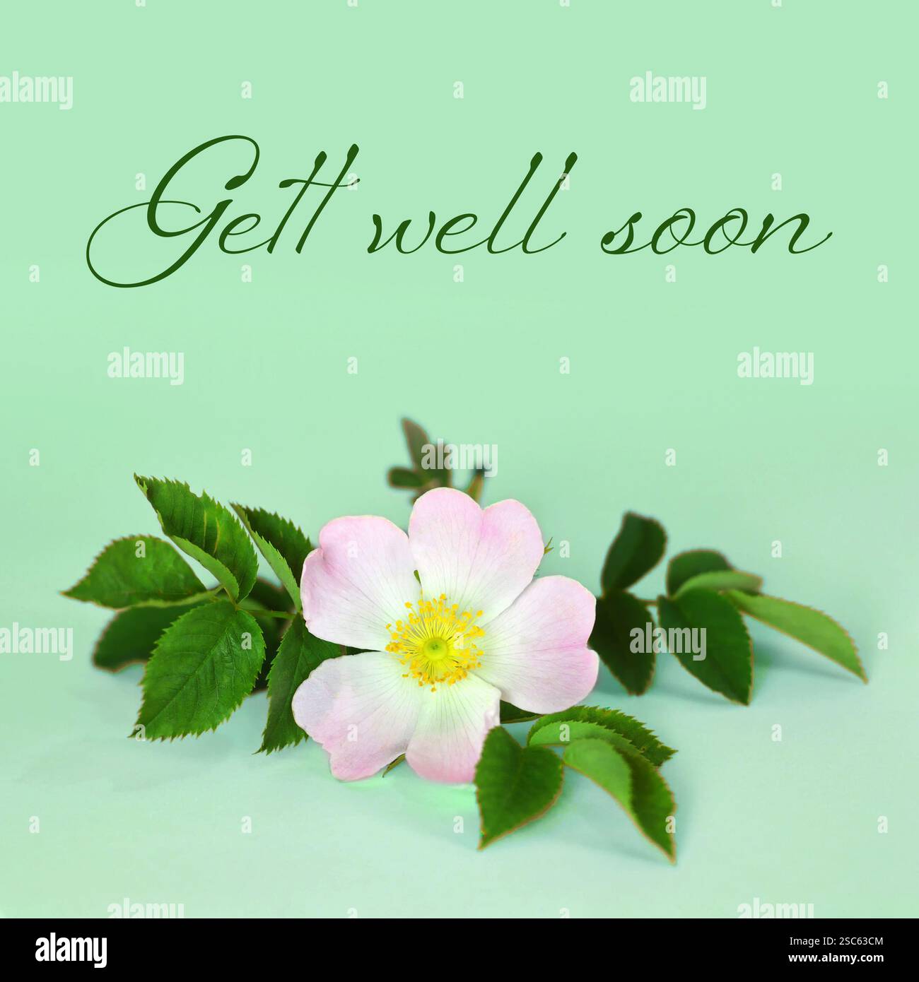 Get well card Stock Photo - Alamy