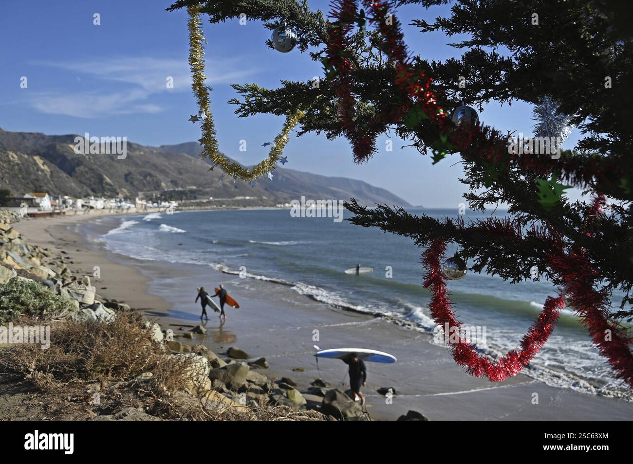 A tree decorated for Christmas and surfers on the Pacific Ocean ...