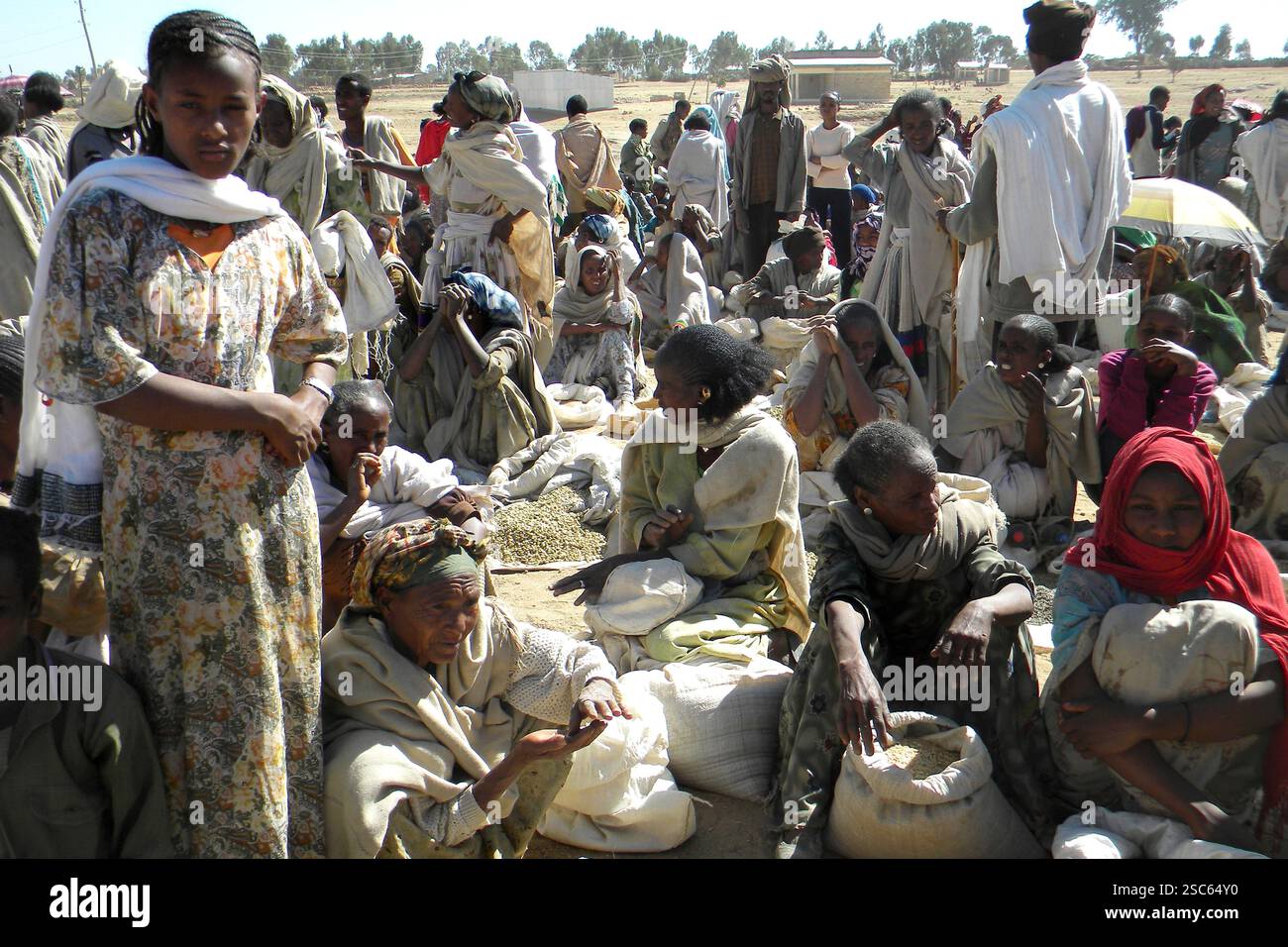 Daily Life. Tigray Valley. Surrounding of Wednesday. Tigray. Ethiopia ...