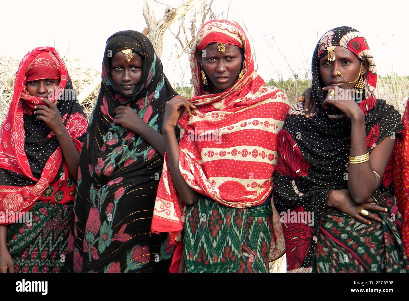 Afar Women. Danakil. Ethiopia Stock Photo - Alamy