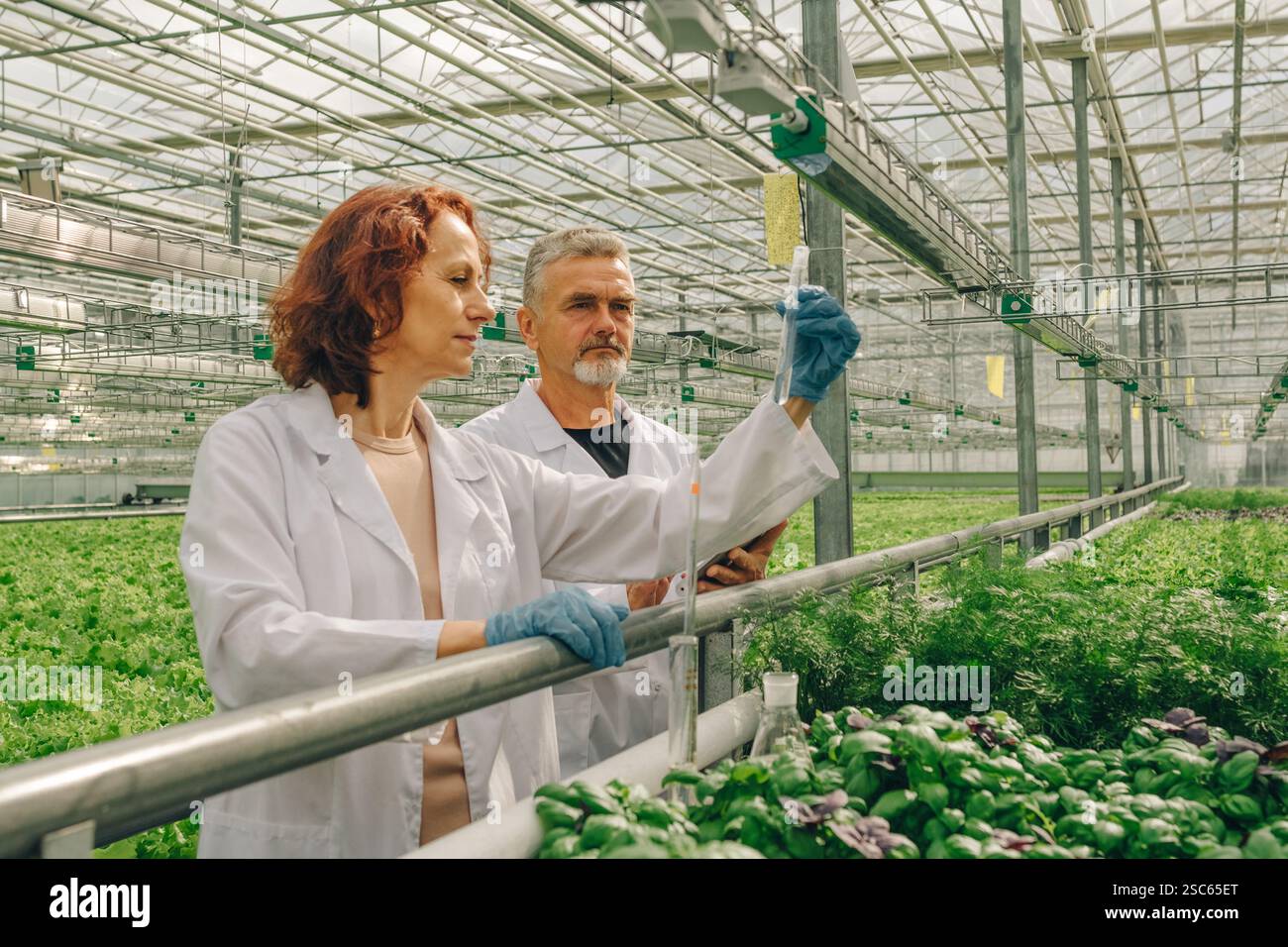 Laboratory workers, two scientists from healthy eating research center ...