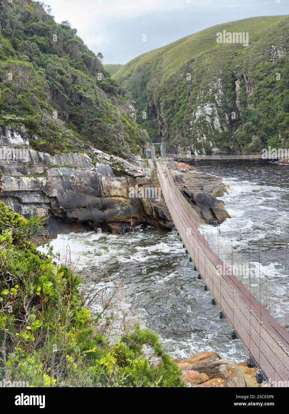 Tsitsikamma National Park, South Africa. Suspension Bridge over Storms ...