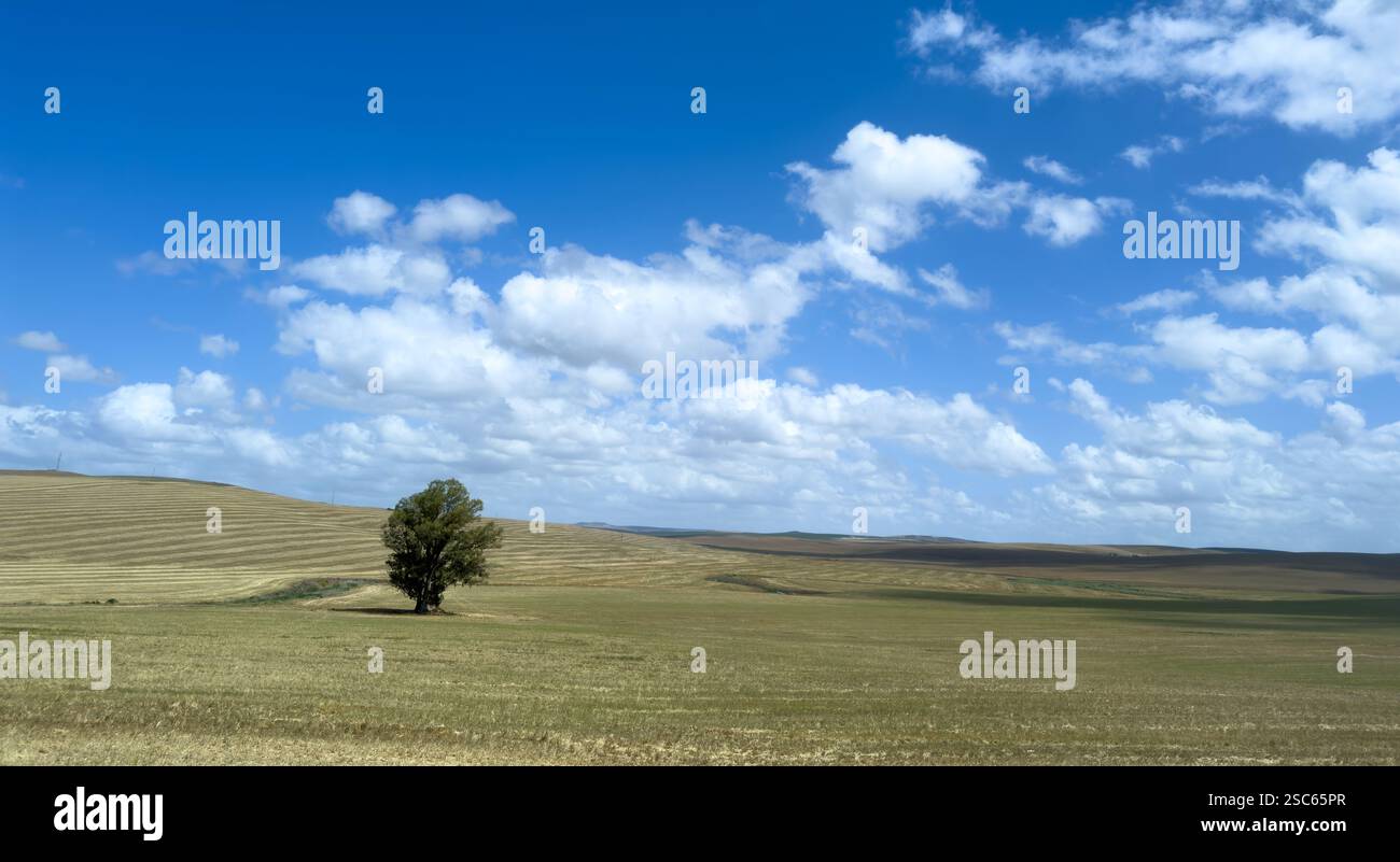 South Africa countryside. Open landscape with rolling hills, green ...