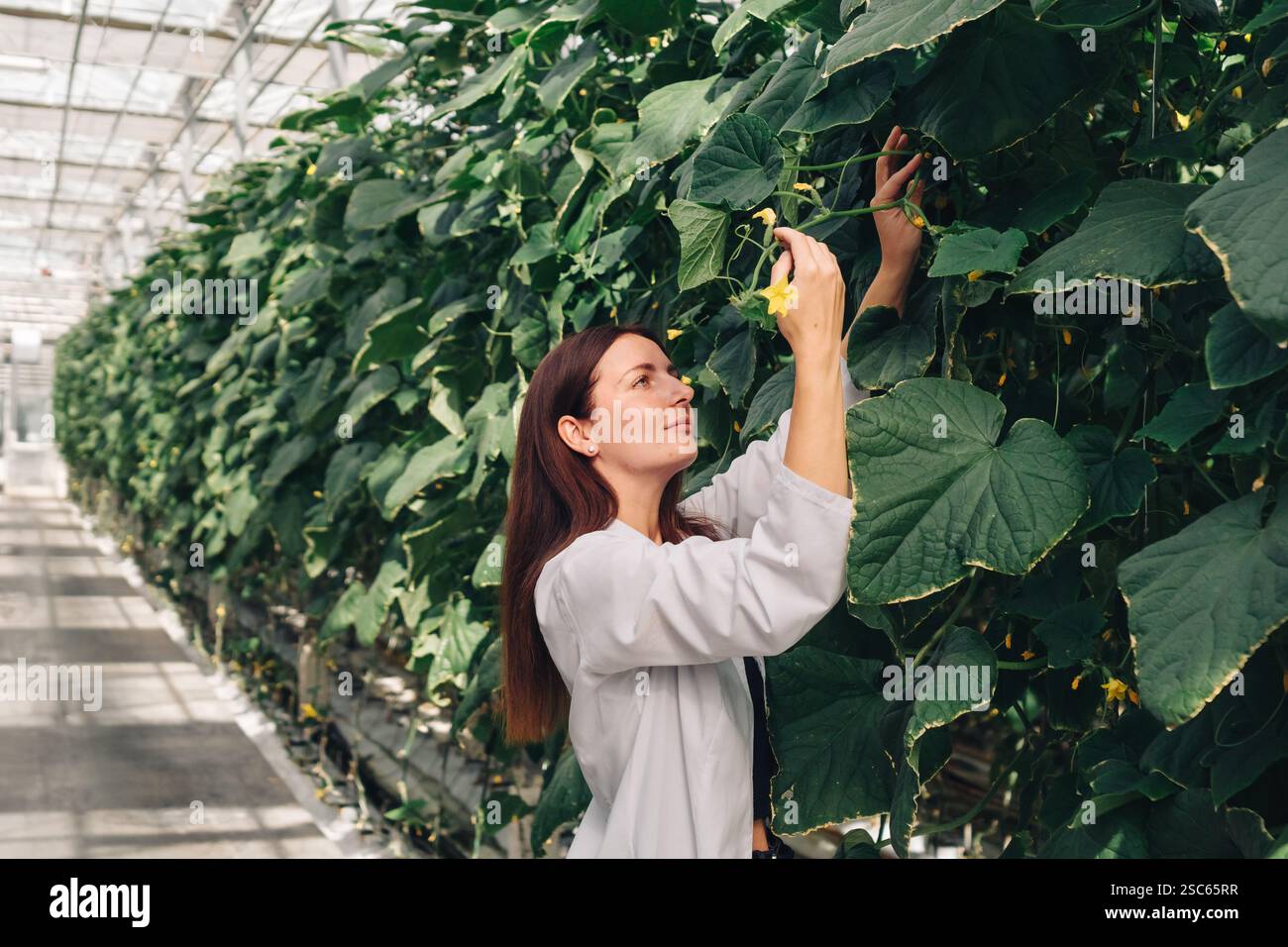 Portrait of biologist botanist at work. Worker collects data about ...