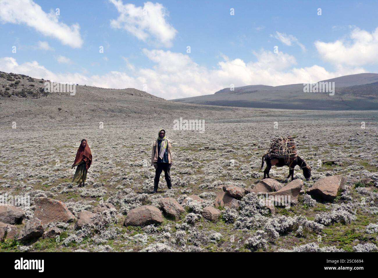 People of the plateau (Bale plateau Stock Photo - Alamy