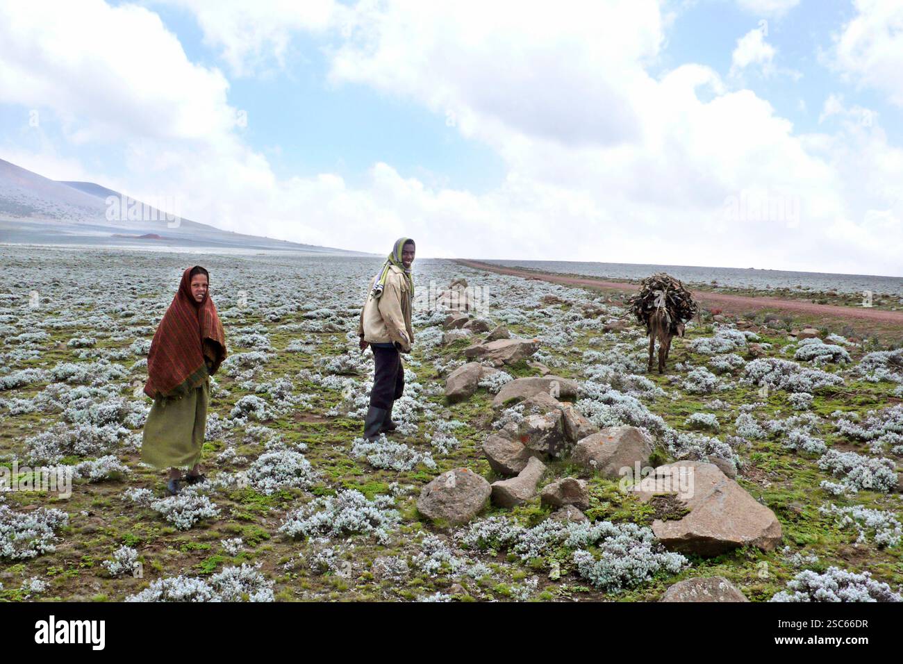 People of the plateau (Bale plateau Stock Photo - Alamy