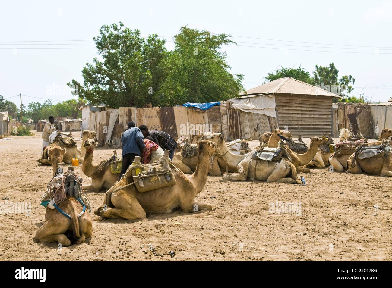 Afar People. Even Eritrea Stock Photo - Alamy