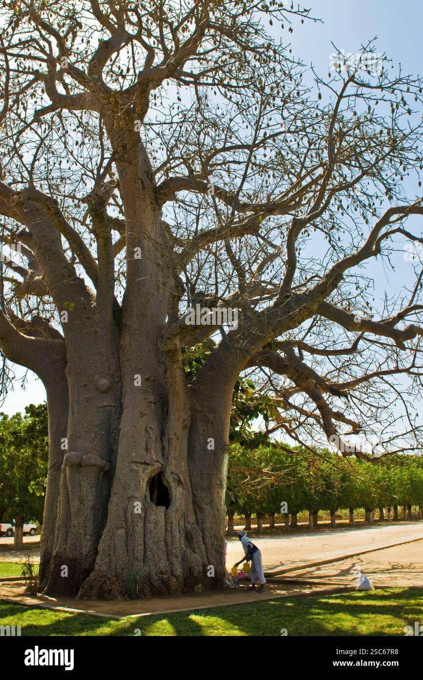 St. Maryam Dearit Church. Cool. Eritrea Stock Photo - Alamy