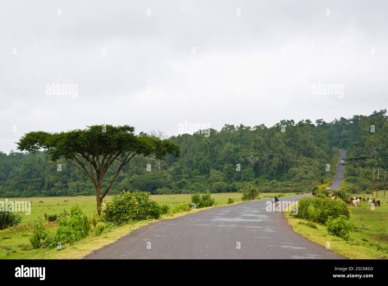 On The Road. Surrounding of Awasa. Ethiopia Stock Photo - Alamy