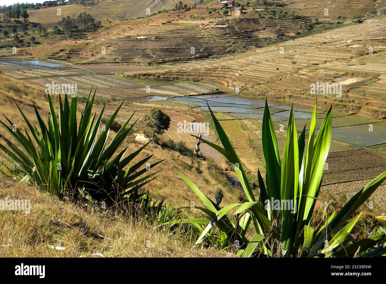 Madagascar. Surrounding of Antananarivo. Landscape Stock Photo - Alamy